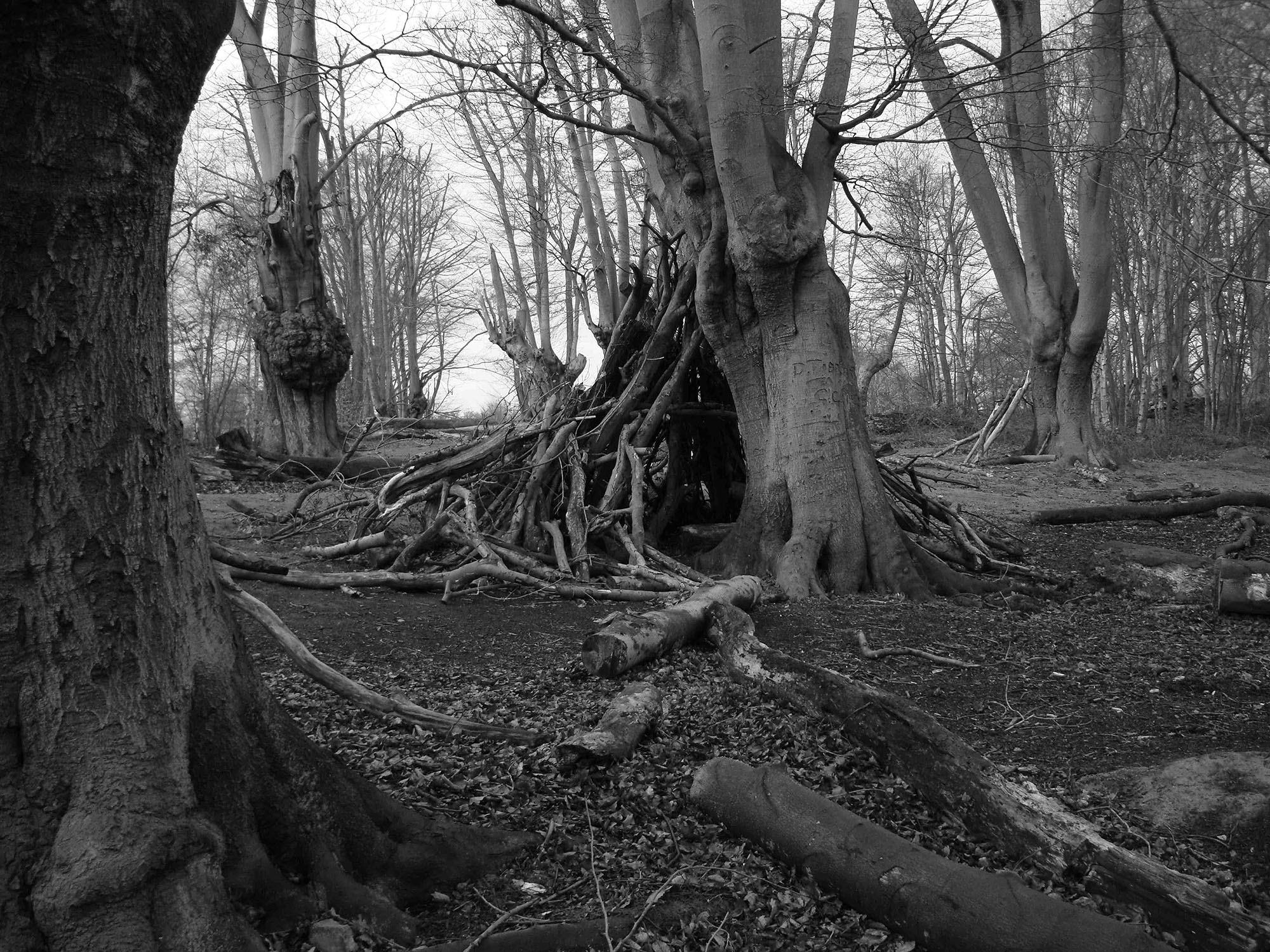 The Foundling: Terry Smith - Foundling Museum